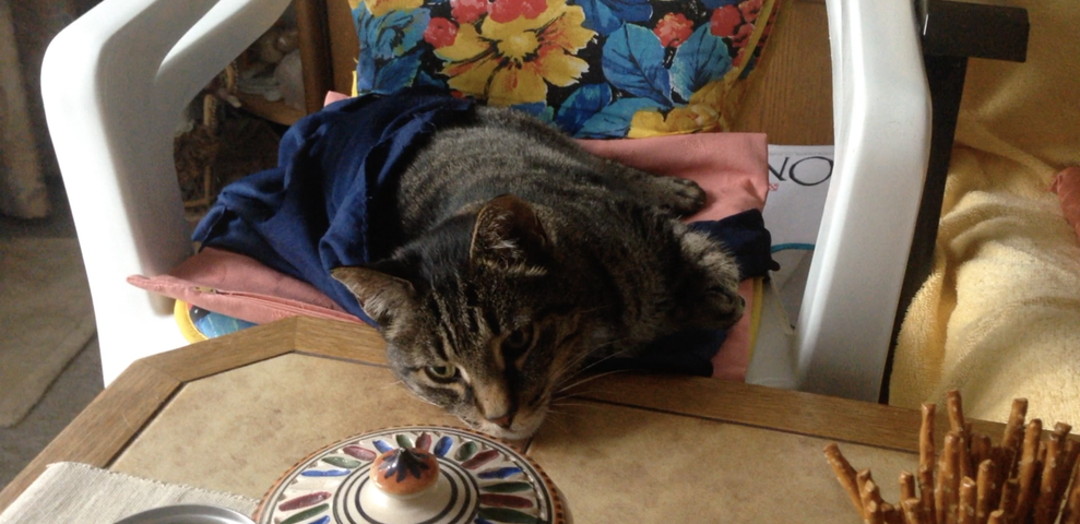 Diploma Exihibitions 2020 | HfK Bremen